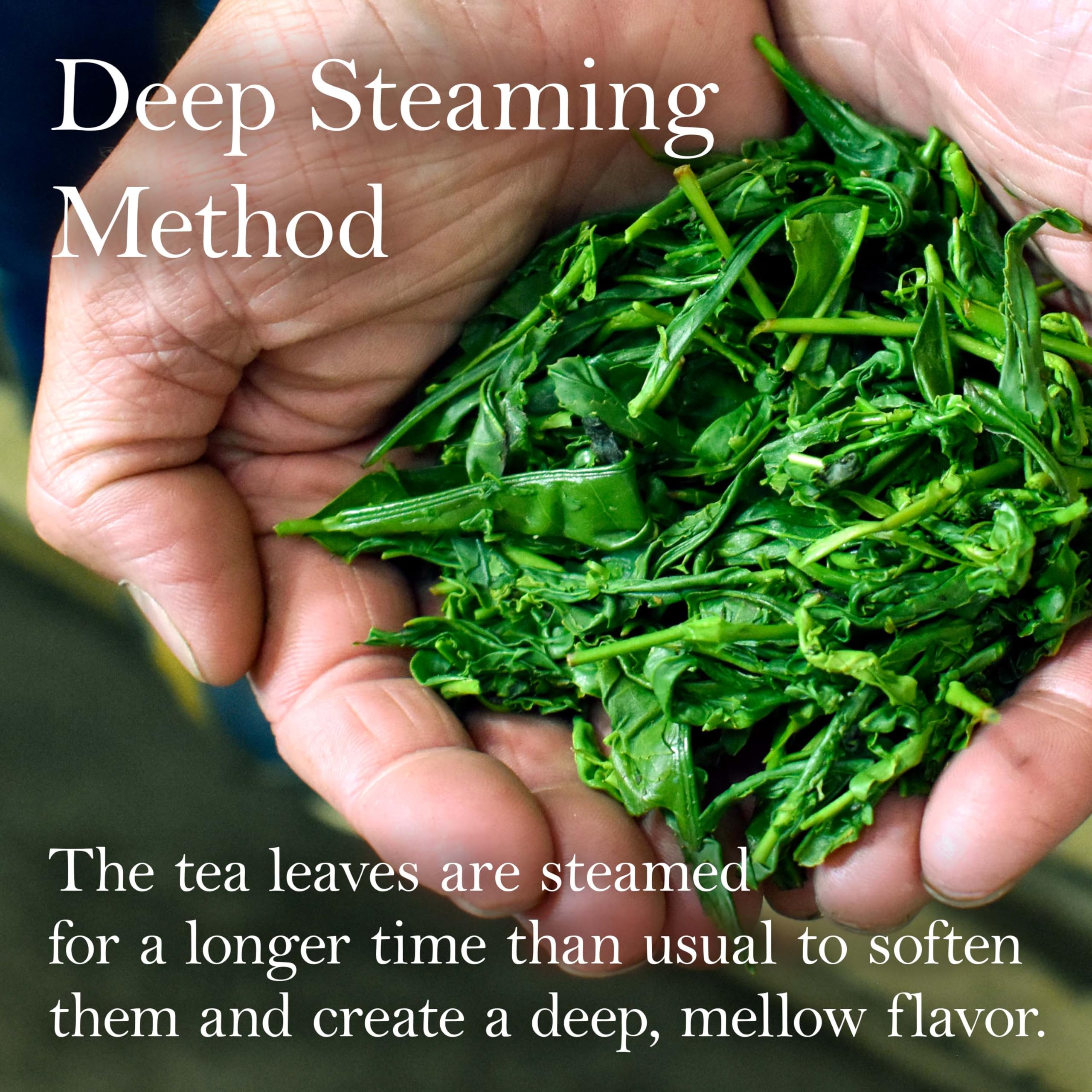 green tea with high EGCG content