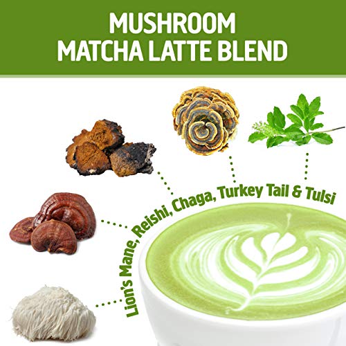 Green tea with lion's mane benefits