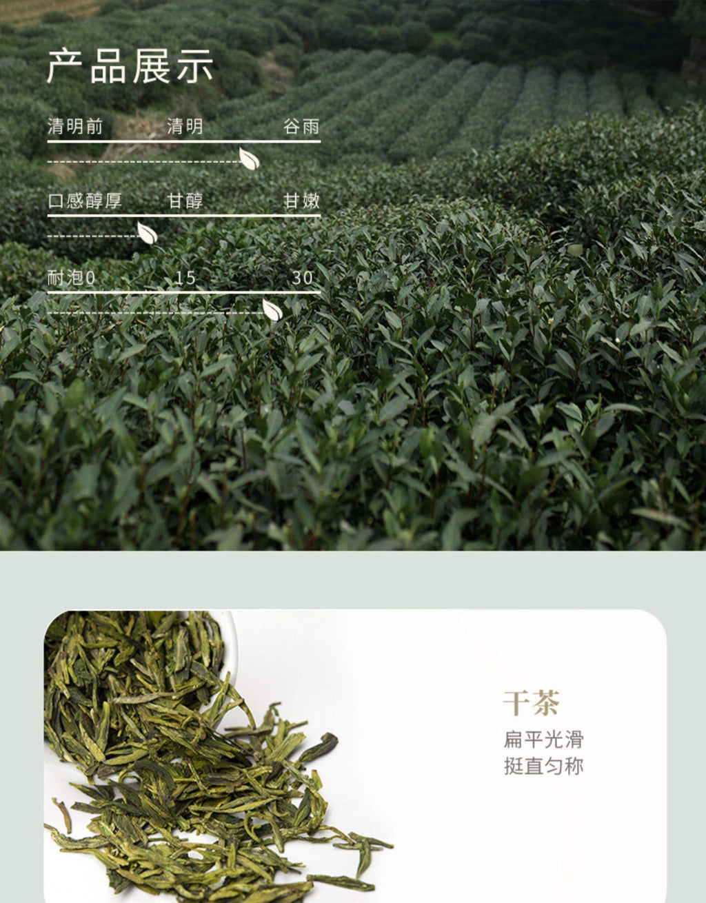 green tea with rich antioxidants