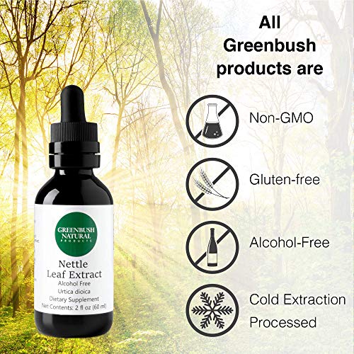 Greenbush nettle for everyday wellness