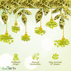Greenhilltea herbal infusion for wellness