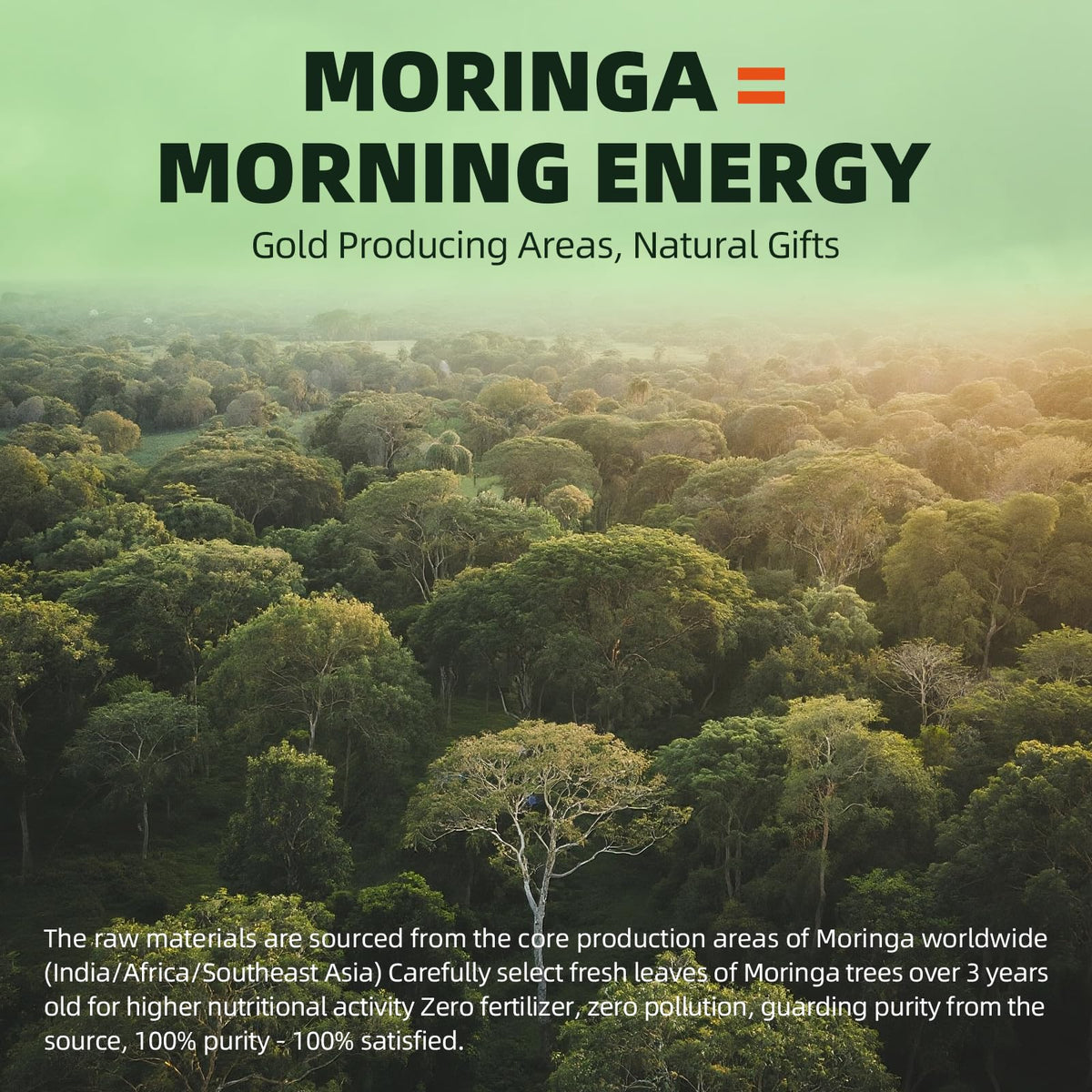 GREENPEOPLE moringa for healthy lifestyle