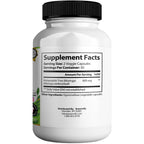 Greenvify Moringa for energy boost