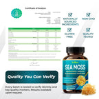 GriMed Sea Moss capsules for daily wellness