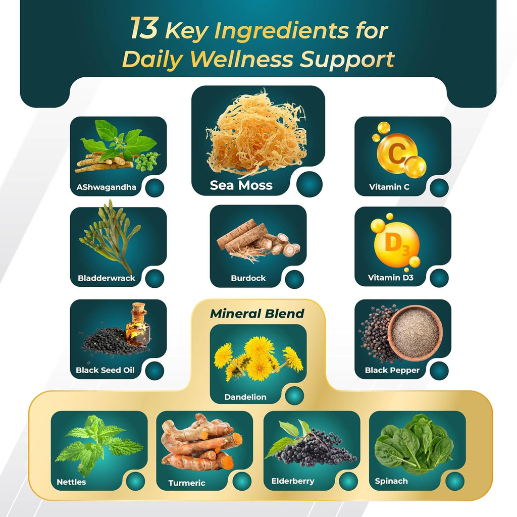 GriMed Sea Moss gummy multivitamin option