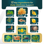 GriMed Sea Moss gummy multivitamin option