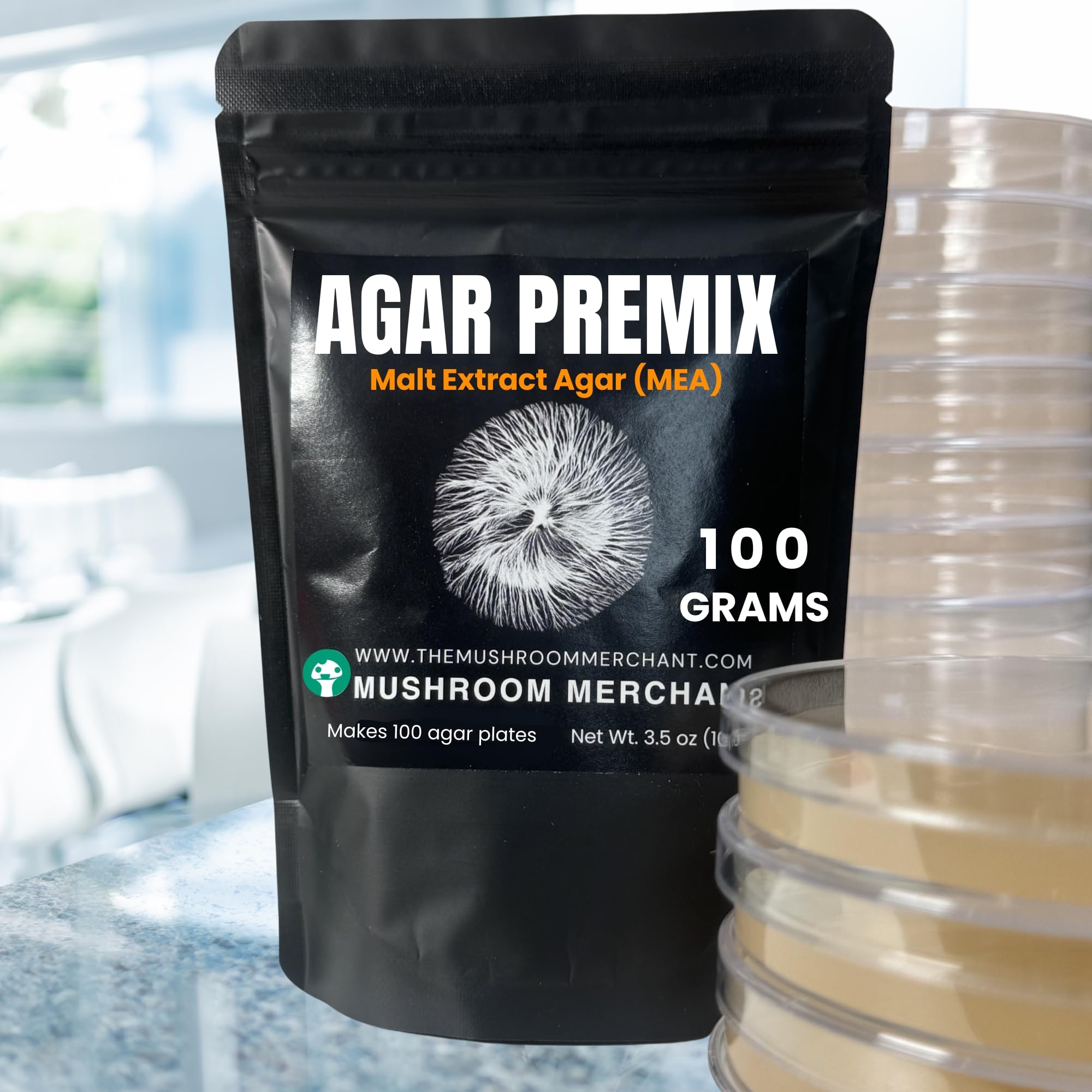 Grow mushrooms with agar plates