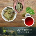 Guanábana leaves for natural wellness