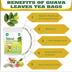 guava leaf tea for wellness