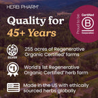 Guayusa capsules for enhanced focus