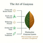 Guayusa tea bags for natural detox