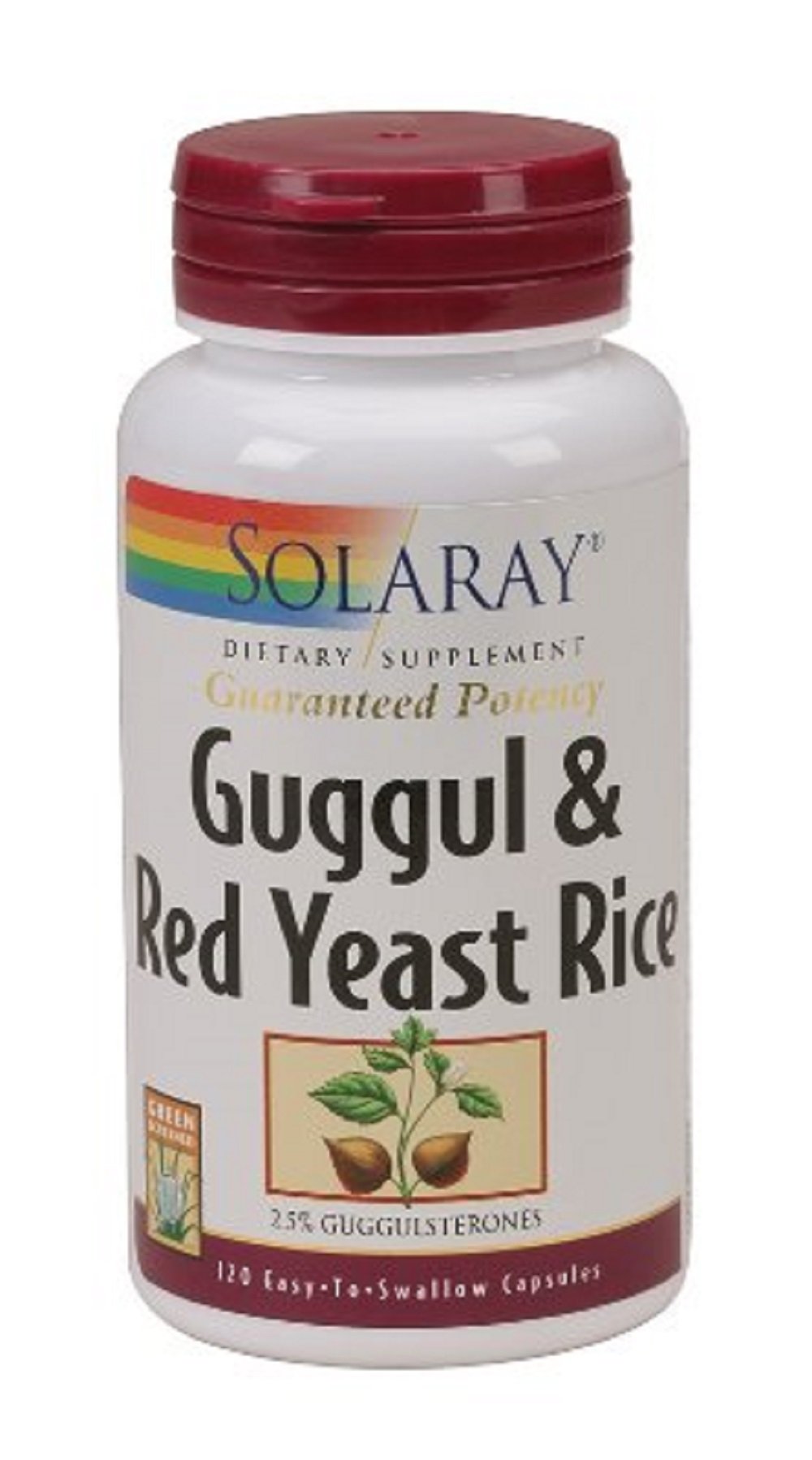 guggul for cholesterol management
