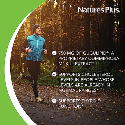 Gugulipid for balanced cholesterol levels