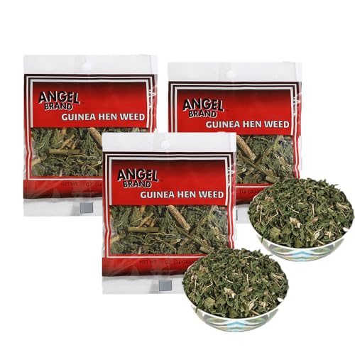 Guinea Hen Weed herbal tea benefits