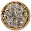 Guinea Hen Weed Tea for wellness