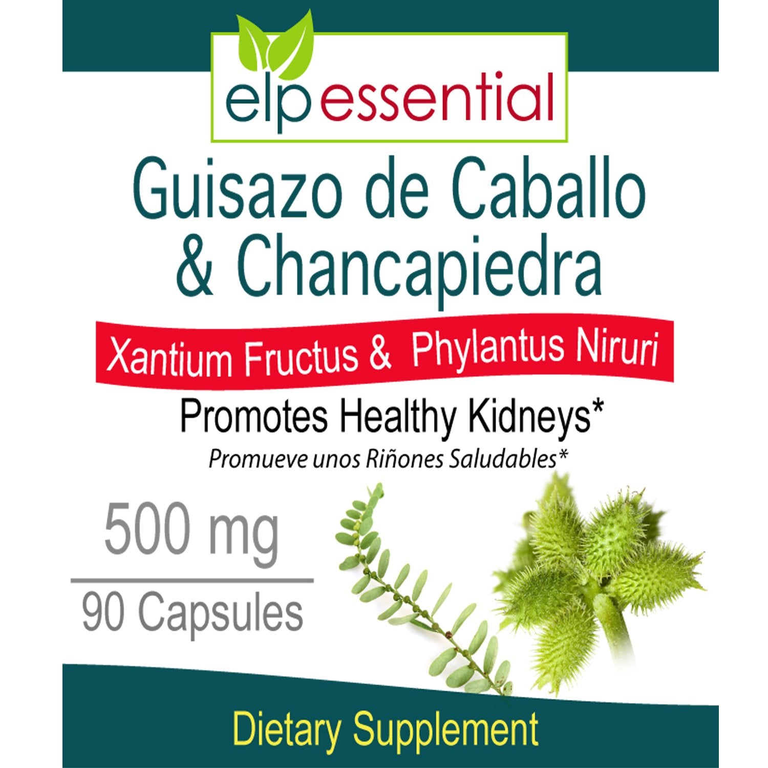 Guisazo de Caballo capsules for energy support