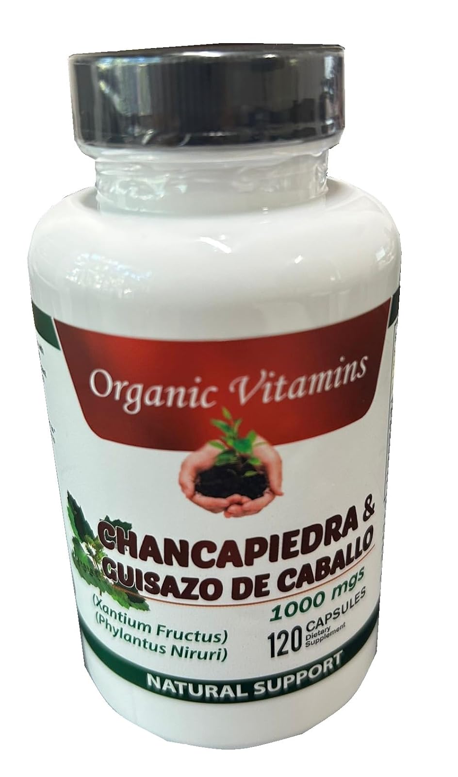 Guisazo de Caballo Chancapiedra health support