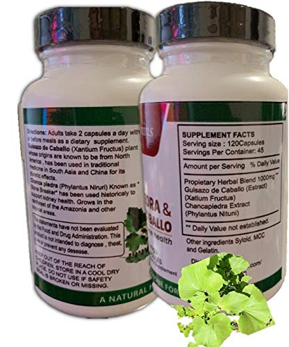 Guisazo de Caballo gummy multivitamin benefits