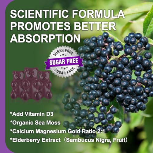 gummies with elderberry for antioxidants