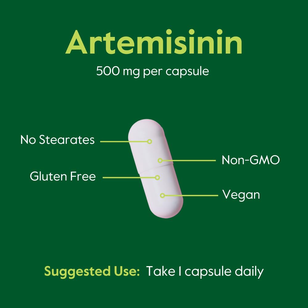 gummy multivitamin alternative BESTVITE