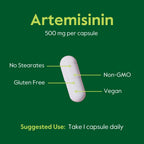 gummy multivitamin alternative BESTVITE