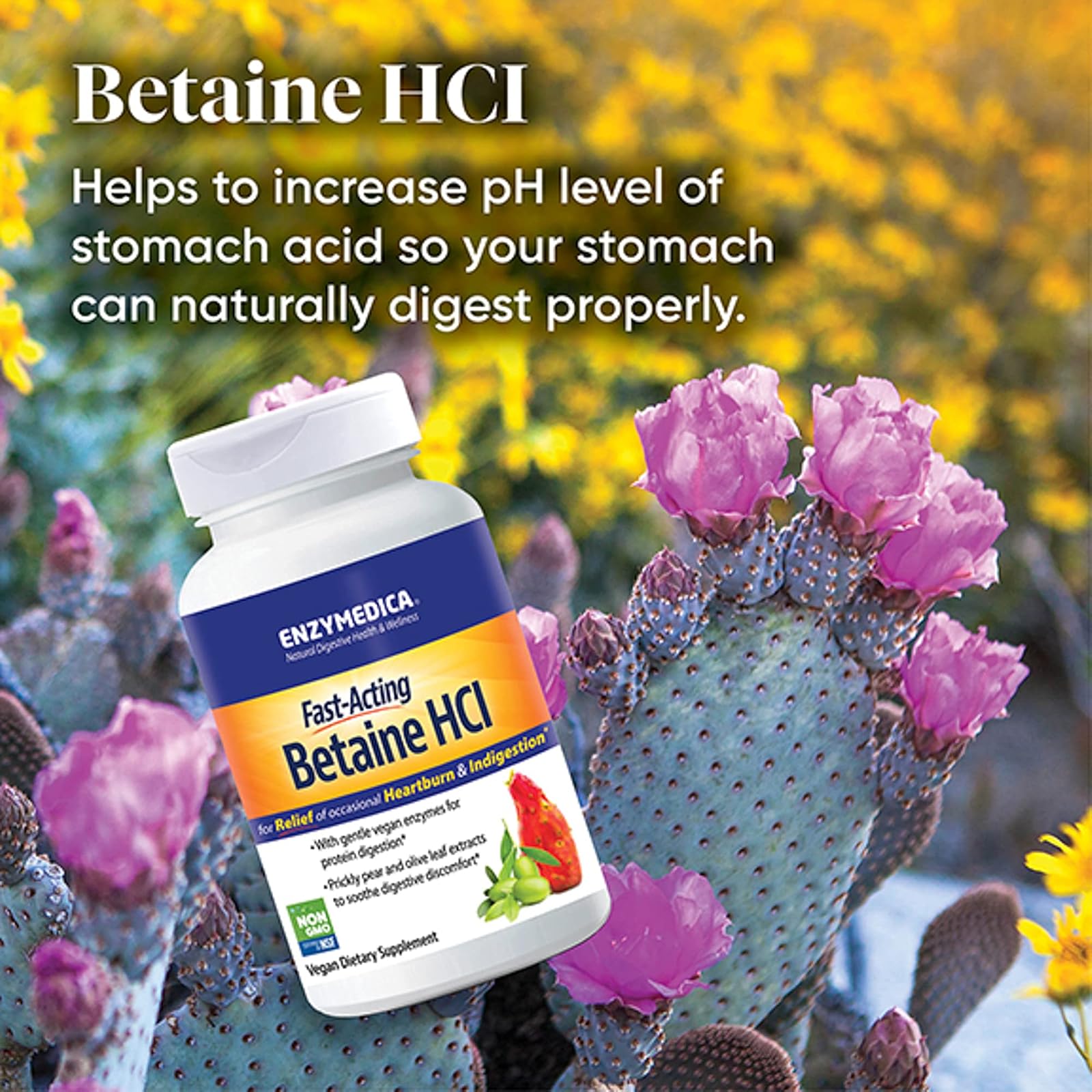 gummy multivitamin alternative Betaine HCl