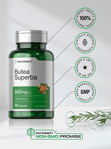 gummy multivitamin alternative capsules