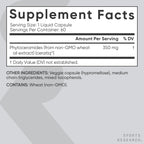 gummy multivitamin alternative for adults