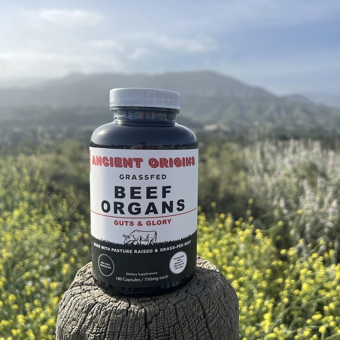 gummy multivitamin alternative for adults