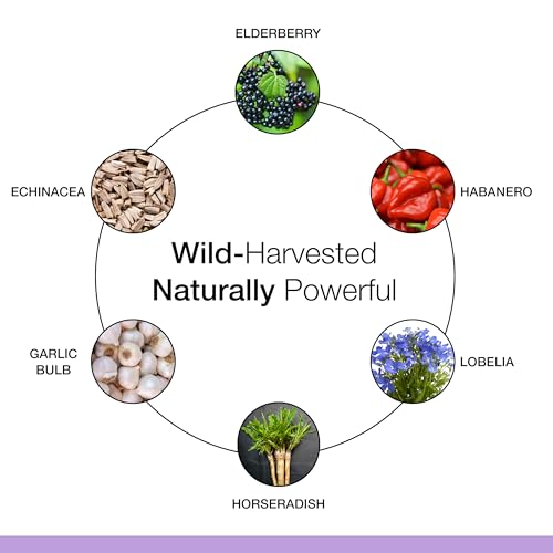 gummy multivitamin alternative for adults