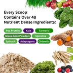 gummy multivitamin alternative for adults