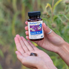 gummy multivitamin alternative for adults