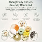 gummy multivitamin alternative for adults