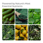 gummy multivitamin alternative for adults