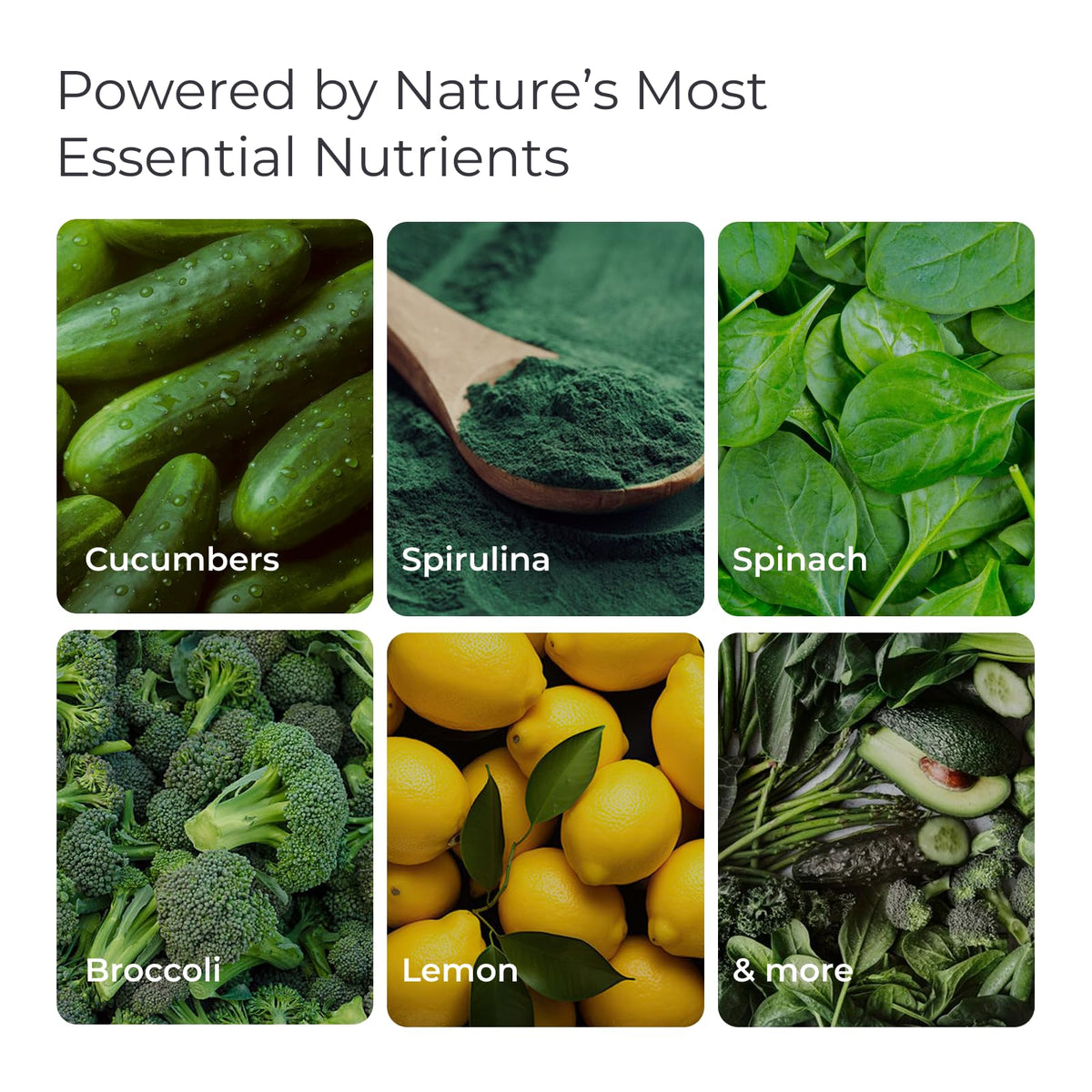 gummy multivitamin alternative for adults