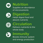 gummy multivitamin alternative for adults