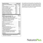 gummy multivitamin alternative for easy intake