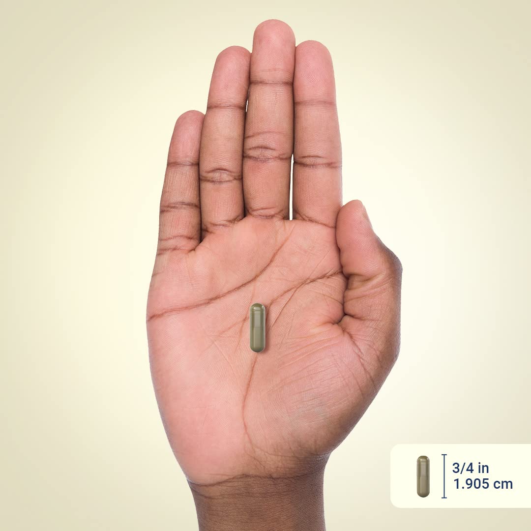 gummy multivitamin alternative for easy intake
