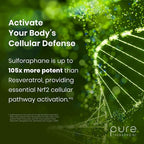 gummy multivitamin alternative for health
