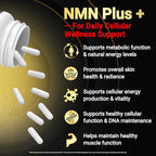 gummy multivitamin alternative NMN Complex Plus