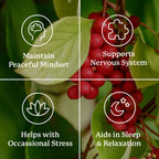 gummy multivitamin alternative Nutri-Calm