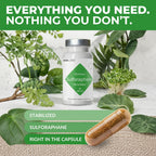 Gummy multivitamin alternative options