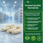 gummy multivitamin alternative options