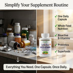 Gummy multivitamin alternative options