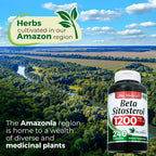 gummy multivitamin alternative plant sterols