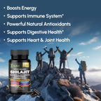 gummy multivitamin alternative shilajit
