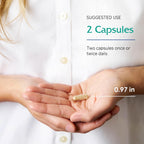 gummy multivitamin alternative to capsules