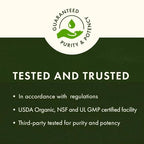 gummy multivitamin alternative to capsules