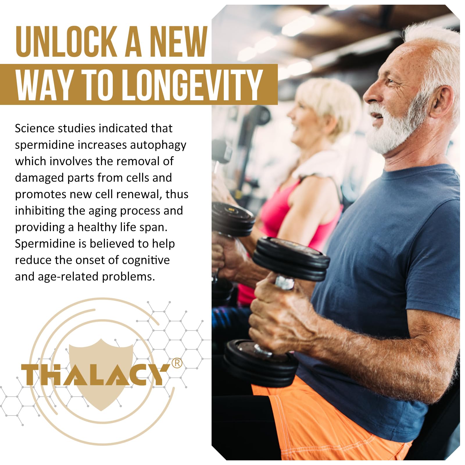 gummy multivitamin alternative with zinc