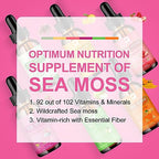 gummy multivitamin alternative